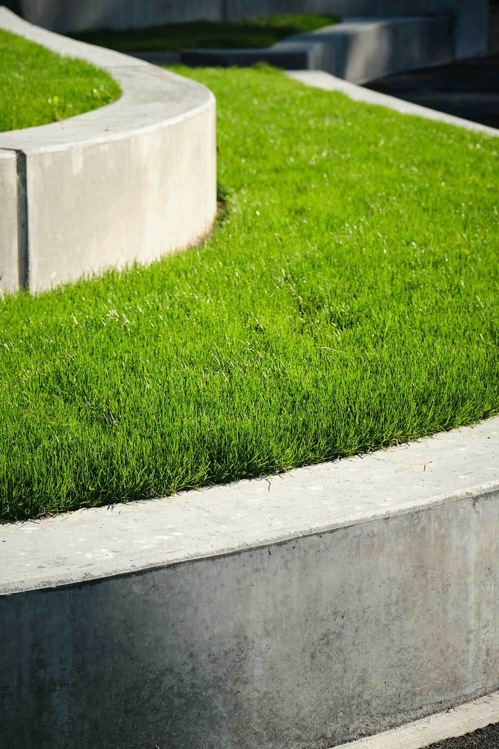 Aotea Lagoon South End Renewal | JFC